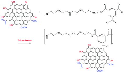Schematic Illustration Of The Formation Of The Download Scientific Diagram