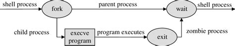 Unix Process Lifecycle [20 Pp 659] Download Scientific Diagram