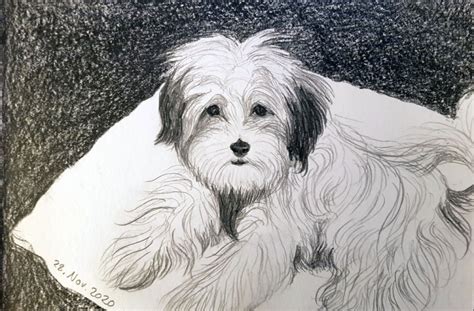 Lea Schuler Lea Schuler Kunst