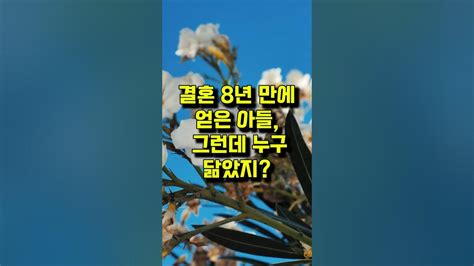 와이프의 배신 그리고 믿을 수 없는 친자 검사 결과 Youtube