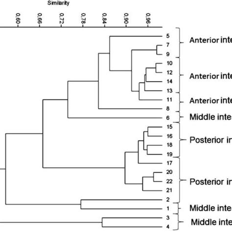 Cluster Analysis Of Dgge Profiles From The Microbial Community In The Download Scientific