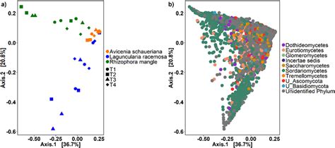 The Most Abundant Fungi Families Assembled In The Three Plant Species
