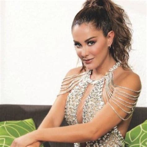 Así Fue El Corto Y Turbulento Matrimonio De Ari Telch Y Ninel Conde