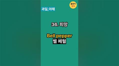 🍎🍇 과일 야채 영어단어 다 알고 계신가요 영어단어 Shorts Youtube