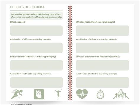 Aqa Gcse Pe Revision Worksheets Exercise Teaching Resources