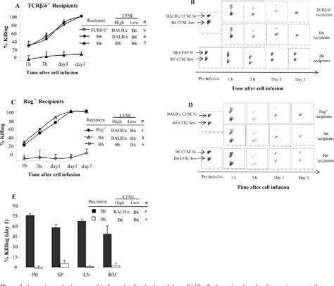Figure 1 From A Critical Role For The Tlr4trif Pathway In Allogeneic