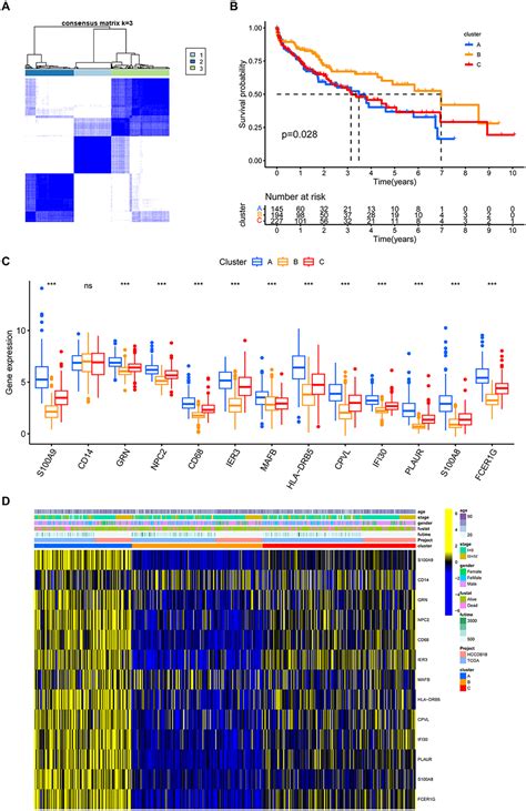 Identification Of A Macrophage Marker Gene Signature To Evaluate Immune Infiltration And