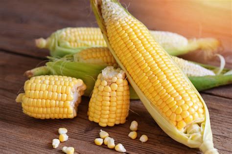 Zea Mays Corn