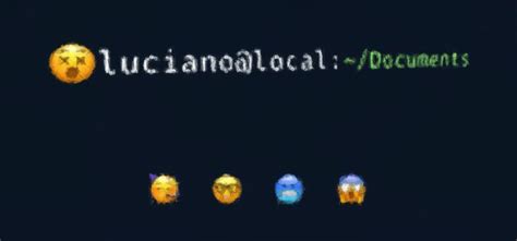 a random emoji in your terminal prompt how and why prompts emoji