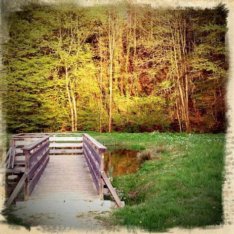 Its A Small Boardwalk By Im2close On Deviantart