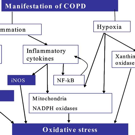 Ros In The Local And Systemic Pathogenesis Of Copd Download Scientific Diagram