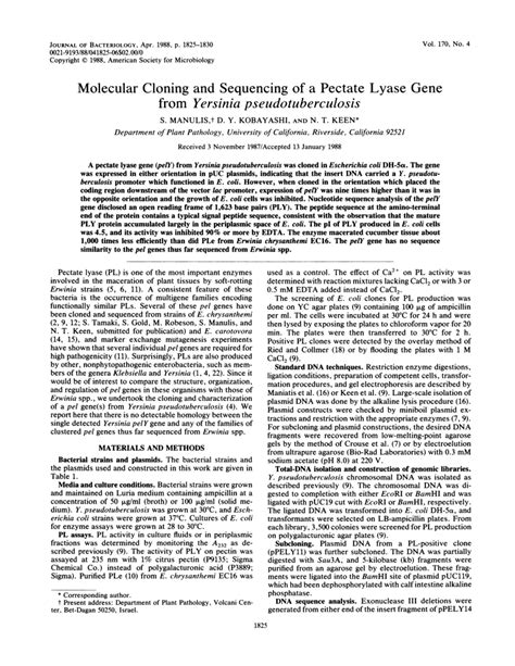 Pdf Molecular Cloning And Sequencing Of A Pectate Lyase Gene From Yersinia Pseudotubercuiosis