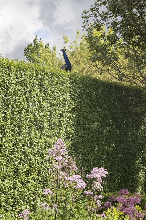 An Inside Look At Garden Designer Paul Bangays Stonefields Listed For Sale