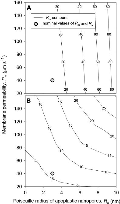 Effects Of R A Horizontal Axes And P M Vertical Axes On K Ox