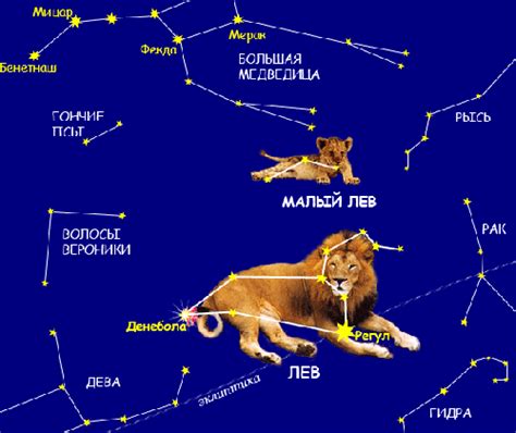 Пин на доске Зодиак и»