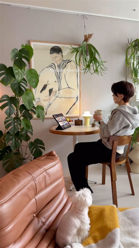 공구예고 무려 1년 만에 프라이덱 분갈이를 했어요 영상 속에 흙 배합은 제가 잘 쓰는 배합인데 똑같이 할 필요는 없으니 그냥 참고만 하시면 됩니다 흙 배합은 화분