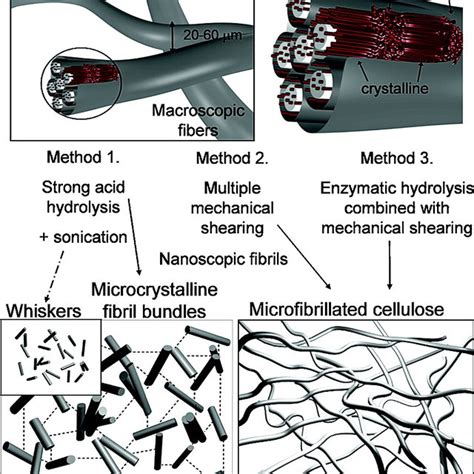 Pdf 1 Development And Applications Of Cellulose Nanofibres Based