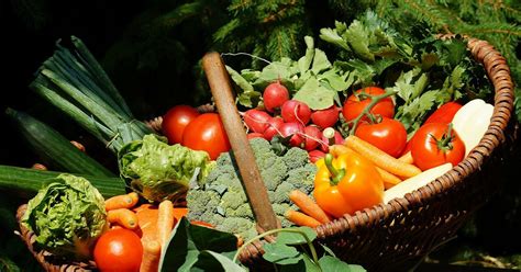 Чому дієтологи не рекомендують їсти сирі овочі перед сном Новости Section Ukr Net