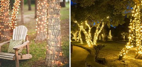 How To Wrap Lights Around A Tree Trunk 10 Easy Steps 2025