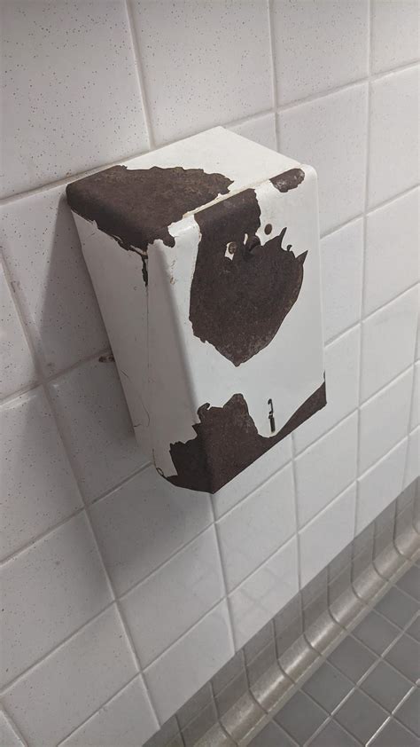 The Rust Pattern Makes This Look Like Its Cow Print R Mildlyinteresting