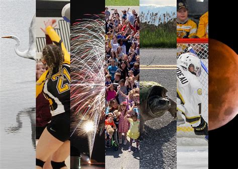 Favourite Photos Of 2022 Julia Mckay The Kingston Whig Standard