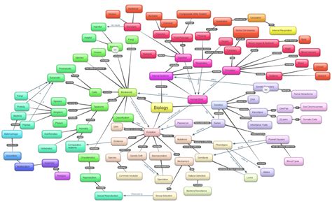 Course Concept Map Collage