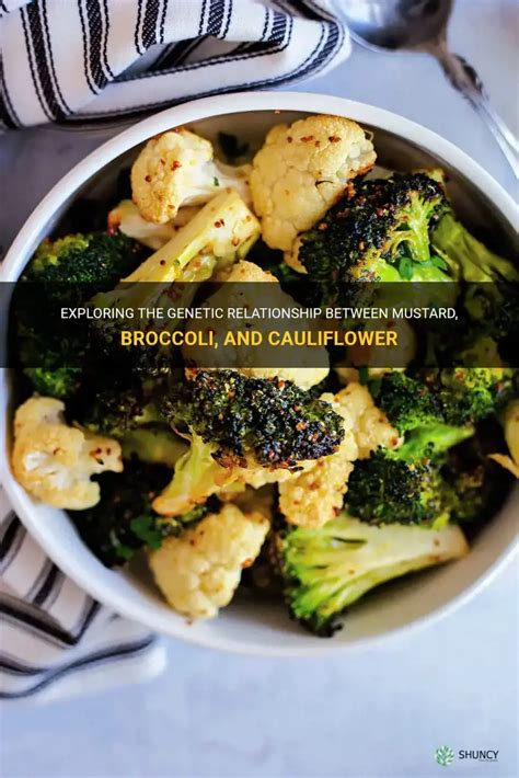 Exploring The Genetic Relationship Between Mustard Broccoli And