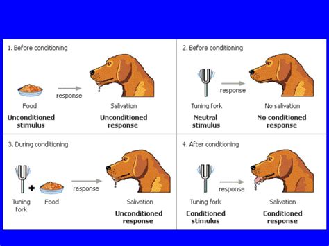 PPT Classical Conditioning I PowerPoint Presentation Free Download ID