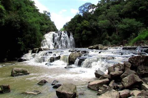 Rio Azul Viaje ParanÁ