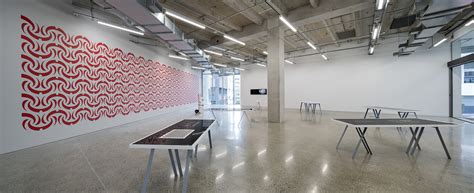 Ngutu Kākā Gallery Aut