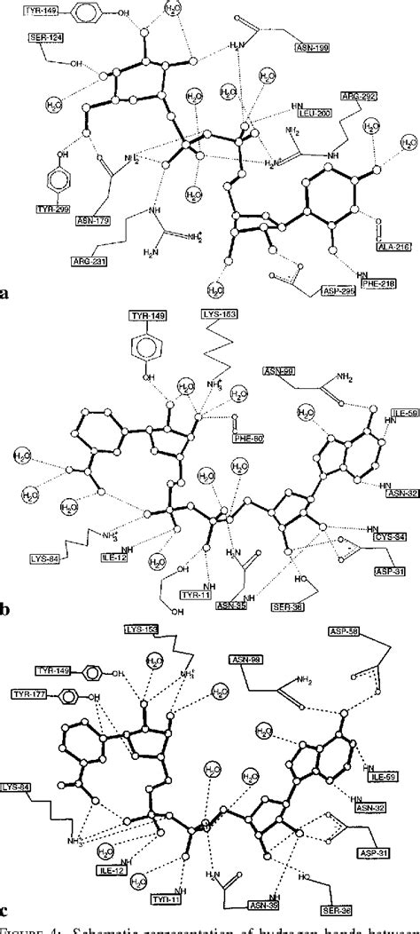 Figure 4 From Molecular Structure Of The Nadhudp Glucose Abortive