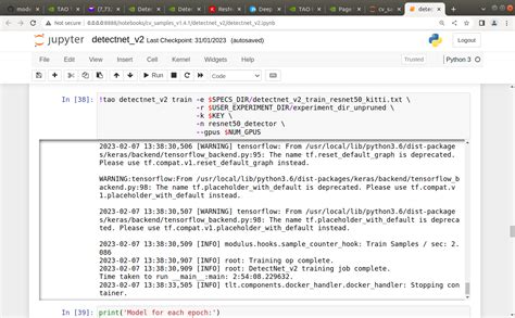 detectnet v2 resnet50 low accuracy on 2 class dataset tao toolkit