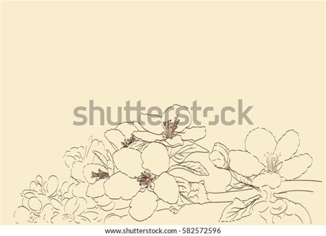 Sketch Sakura Tree Flowers Hand Drawn Stock Vector Royalty Free 582572596 Shutterstock