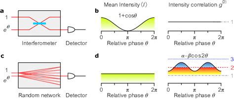 Light Statistics Interferometry In Random Networks A Schematic Of Download Scientific