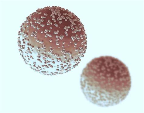 Factors Affecting Plga Degradation What You Need To Know