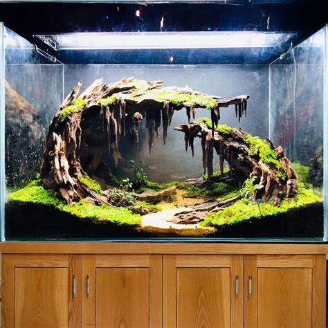 Aquascape Aquarium Driftwood Large Bonsai Aquascaping Decor Hardscape