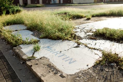 무료 이미지 잔디 보도 조약돌 벽 아스팔트 흙 정원 조경 마당 차도 바닥 노면 5472x3648 72610 무료 이미지 Pxhere