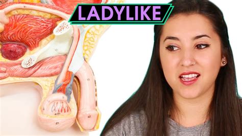 women take a middle school sex ed quiz ladylike youtube