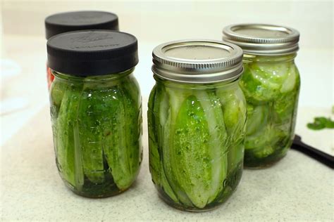 Refrigerator Dill Pickles Recipe Know Your Produce