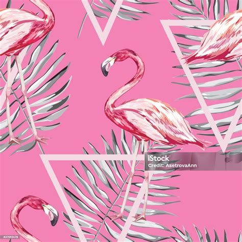 열 대 플라밍고와 완벽 한 패턴입니다 초대장 영화 포스터 직물 및 다른 개체의 디자인 요소입니다 백색에 절연 되어 있습니다 기 설정합니다 벡터 Eps 10 0명에 대한 스톡