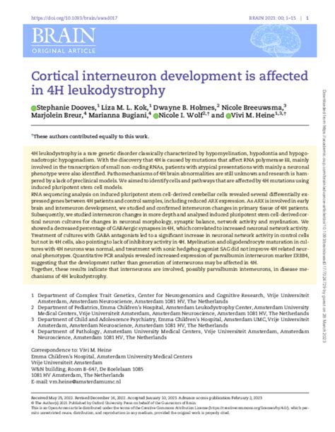 Pdf Cortical Interneuron Development Is Affected In 4h Leukodystrophy