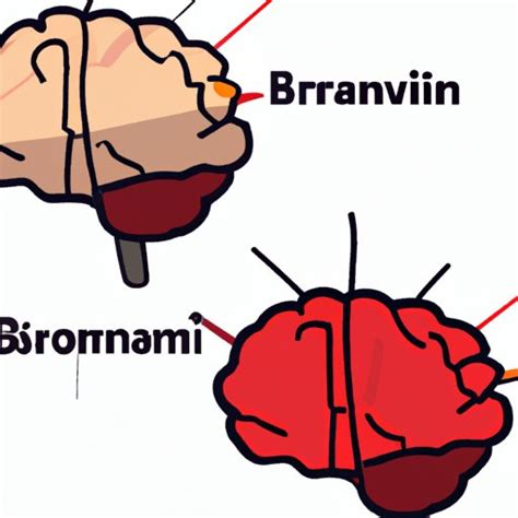 what part of the brain controls creativity exploring the role of the