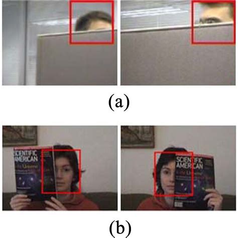 Tracking Results Of The Proposed Algorithm With Occlusions A Video Download Scientific