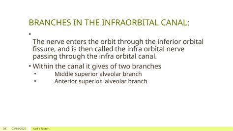 5th Cranial Nerve Trigeminal Nerve Anatomypptx