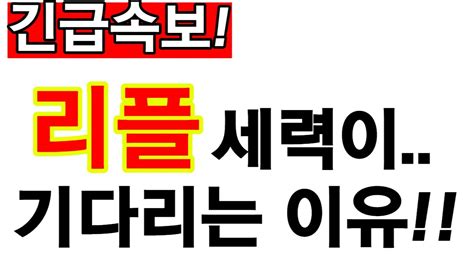아 리플 세력은 이걸 기다렸네요 혼자만 보세요 리플 리플코인 리플소송 리플전망 리플대응 리플급등