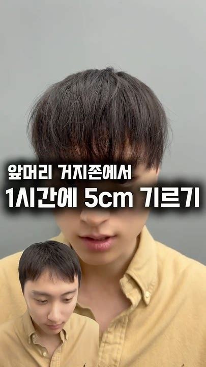 봄이든헤어 앞머리전용x2피스 붙임머리 출시기념 이벤트 특가 행사중🌸 붙임머리이벤트 남자거지존 머리기르기 남자붙임머리 증모술 강남증모술 Youtube