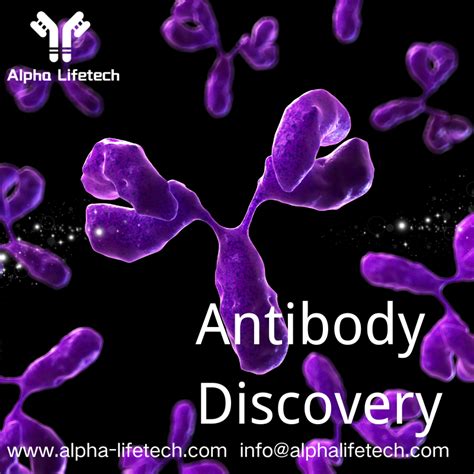 Alpha Lifetech Overview Of High Throughput Screening Hts By Alpha