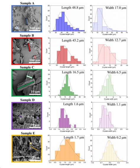 Sem Images And Particle Size Distributions Length Marked As A Filled