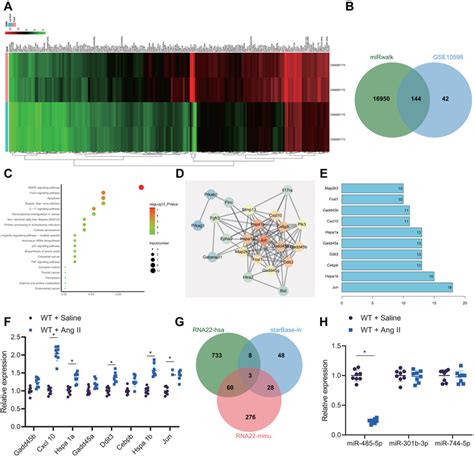 bioinformatics analysis of target genes of mir‐485‐5p and download