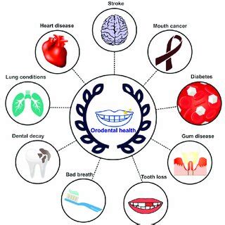 Link between oral health and general health. | Download Scientific Diagram